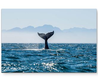 Paul Sinus Art Leinwandbilder | Bilder Leinwand 120x80cm Schwanzflosse Wal im Meer