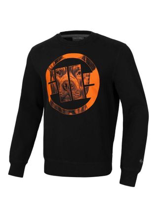 Pitbull Sweatshirt Herren Crewneck Orange Dog 24, Pullover Herren Sportliche, Sweatshirts mit Aufdruck, M&auml;nner Pulli Sport, Longsleeve Sweat Shirt Crewneck, M