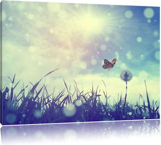 Pixxprint zarter Schmetterling fliegt zu Pusteblume, Größe: 120x80cm, Leinwandbild, fertig gespannt, Wandbild, Dekoration, Kunstdruck, kein Poster