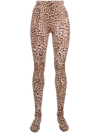 Roberto Cavalli Leggings mit Leoparden-Print - Braun