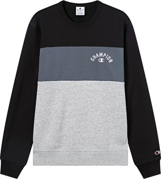 Champion Authentic Athletic Apparel Sweatshirt