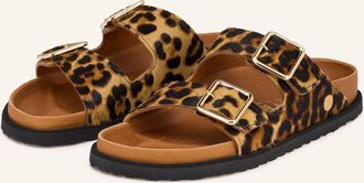 Birkenstock 1774 Birkenstock Pantoletten Arizona braun