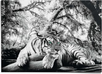 Reinders Giant Poster XXL, Tiger, Wohnzimmer, Bilder, Wanddeko, Room Decor, Papier, Schwarz, 100 x 140cm