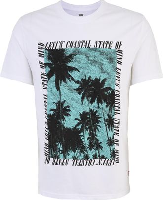 Levi's SS Relaxed Fit Tee