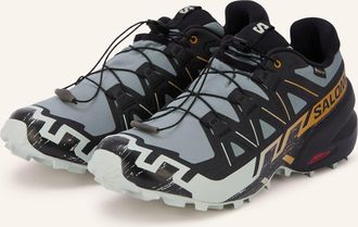 Salomon Trailrunning-Schuhe Speedcross 6 Gtx blau