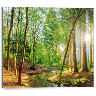 Reinders Wandbild, Sonniger Wald, Wohnzimmer, Bilder, Wanddeko, Room Decor, MDF, Gr&uuml;n, 40 x 50cm