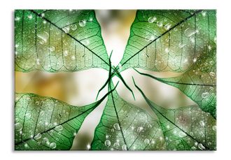 Pixxprint Glasbild, Wandbild aus Echtglas, Grüne Blätter, 80x60 cm, inkl. Aufhängung und Abstandshalter