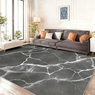 Generic Tapis de Salon 120 x 170 cm, Gris Tapis Lavable &agrave; Poils Courts antid&eacute;rapant Doux, Motif &Eacute;l&eacute;gant Luxe Texture du Marbre, pour Chambre denfant Bureau Sa