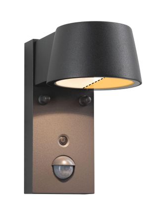 Paulmann 94714 LED Wandleuchte Capea Bewegungsmelder insektenfreundlich IP44 96x153mm Tunable Warm 6W 450lm 98° Schwarz