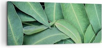 Arttor Panorama Bilder auf Leinwand 100x40cm Leinwandbild Bl&auml;tter Eukalyptus Natur Gro&szlig; Wanddeko Bild Schlafzimmer K&uuml;che Wandbilder Dekoration Wohnzimmer Wal