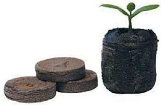 Nutleys Nutley s 130 ml quadratisch Glas Einmachgl&auml;ser (24, Schwarz)