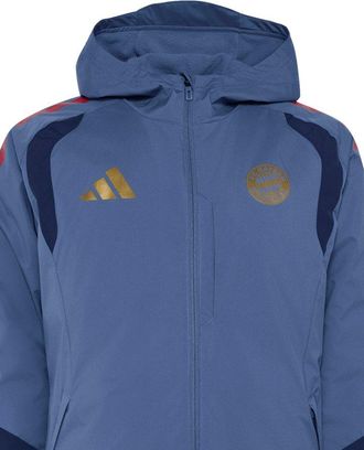 adidas Performance Outdoorjacke FC Bayern M&uuml;nchen, Authentic Winterjacke Teamline, Herren, Blau