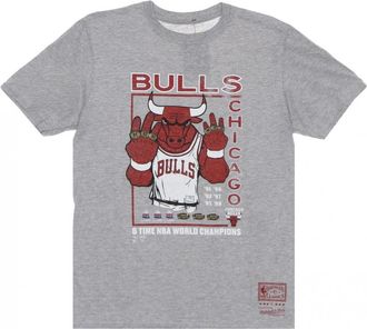 Mitchell & Ness NBA Last Dance 6X Champs Tee - - Tops - Herren - Grau - XL