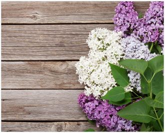Wallario Poster - Fliederbl&uuml;ten auf Holz in Premiumqualit&auml;t, Gr&ouml;&szlig;e: 40 x 50 cm