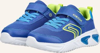 Geox Sneaker Assister blau