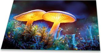 Decorwelt | Herdabdeckplatte 80x52 cm 1-Teilig Pilzen Blau Ceranfeldabdeckung Universal Spritzschutz Glas Deko Elektroherd Induktion für Kochplatten Herdschutz 