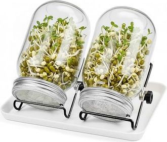 Relaxdays Sprossenglas 2er Set, St&auml;nder & Abtropfschale, Keimglas f&uuml;r Sprossen, 850 ml, zur Sprossenanzucht, klar/wei&szlig;