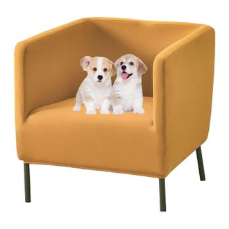 Generic Fassstuhlbez&uuml;ge f&uuml;r Wohnzimmer Clubsessel-Schonbez&uuml;ge 1 St&uuml;ck Sesselbez&uuml;ge Couchbez&uuml;ge f&uuml;r Hunde waschbar Haustier (Gelb)