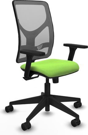 Piqueras y Crespo B&uuml;rostuhl Home Office mit 3D-Armlehnen, h&ouml;henverstellbare Lendenwirbelst&uuml;tze, ausgestattet mit 3 Positionen und Schneidschaum, Grau/Pistazie