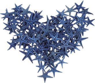 BESPORTBLE 100 St&uuml;ck Nat&uuml;rliche Mini seesterne Blaue Meer Dekoration DIY Bastelset f&uuml;r Wishing Bottle Mikrolandschaftliche Stern Ornamente Geeignet als Desktop d