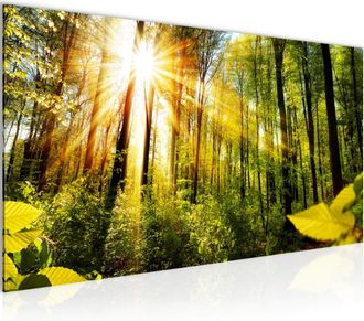 Runa Art Wandbild Wald Landschaft 1 Teilig 100 x 40 cm Modern Bild auf Vlies Leinwand Sonne Schlafzimmer Wohnzimmer Gr&uuml;n 024212a