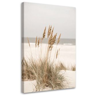 Feeby Wandbilder - Bilder Schlafzimmer - Strand Meer Pflanzen Natur beige - 20x30 1tlg - Wohnzimmer Bild Gro&szlig; - Wohnungs - Foto Geschenk - Leinwand Wall Art