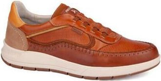 Pikolinos salamanca6423c1