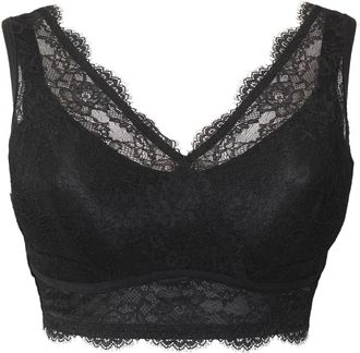 SugarShape BH