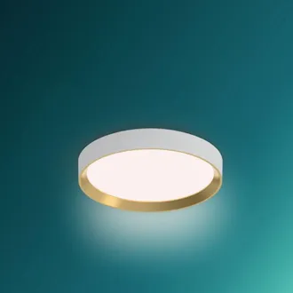 Philips 8720169301375 Hanno LED-Deckenleuchte LED 24 W Wei&szlig;, Gold
