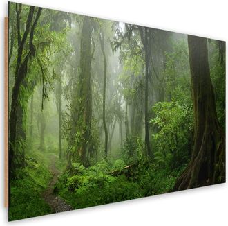 Feeby Deco Panel 120x80 cm Wald im Nebel B&auml;ume 1 tlg Modern Bilder Wandbilder Dekopanel Kunstdruck Wand Bild Wohnzimmer Jungezimmer B&uuml;ro Natur Landschaft Gr