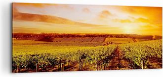 Arttor Panorama Bilder auf Leinwand 100x40cm Leinwandbild Weinberg Aussicht Landschaft Groß Wanddeko Bild Schlafzimmer Wandbilder Dekoration Wohnzimmer Wall 