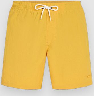 O'Neill Vert 16 Boardshorts golden haze