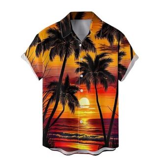 Generic Chemise hawa&iuml;enne de croisi&egrave;re &agrave; manches courtes pour homme - Chemise d&eacute;t&eacute; amusante - Motif flamant rose tropical d&eacute;contract&eacute; - Tendance - Graphique v