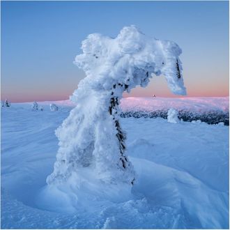 Wallario Sticker/Aufkleber f&uuml;r K&uuml;hlschrank/Geschirrsp&uuml;ler/K&uuml;chenschr&auml;nke, Selbstklebende Folie - 60 x 60 cm, Motiv: Schneeskulptur