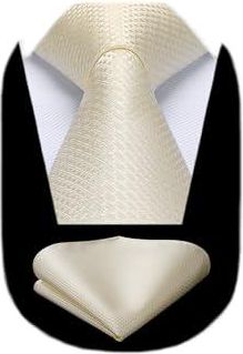 Hisdern Cravate pour homme de couleur unie et carré de poche classique pour mariage homme cravate formelle élégante fête daffaires, Champagne clair, taille un