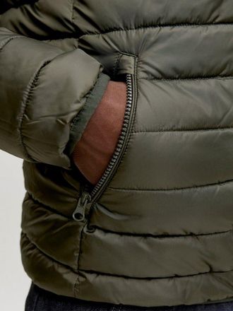 Jack & Jones Plus Size Steppjacke JJELVIS LIGHT PUFFER COLLAR PLS Kunstfaser, regular fit