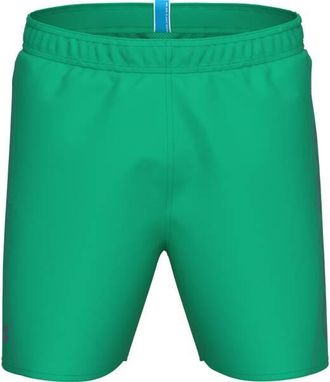 Arena Herren Badeshorts FUNDAMENTALS LOGO BOXER