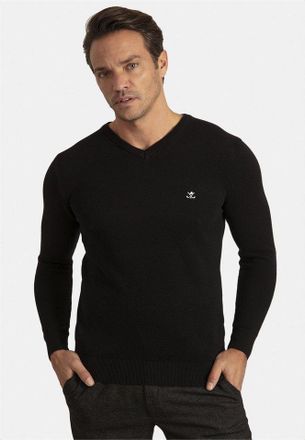 Sir Raymond Tailor V-Ausschnitt-Pullover Liva mit elegantem V-Ausschnitt