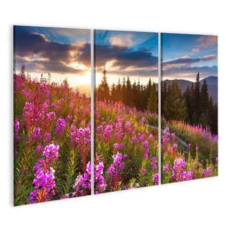 Islandburner Bild Bilder auf Leinwand Sch&ouml;ne Herbstlandschaft in den Bergen mit rosa Bl&uuml;ten. Wandbild Poster Leinwandbild SRN