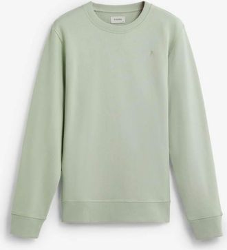 Scalpers Pull - Vert clair délavé