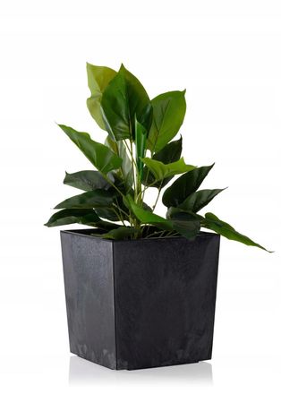 HowHomely Blumentopf Eckig Schwarz 19 x 19 x 19 cm Pflanzk&uuml;bel Gro&szlig; Au&szlig;en - Blumenk&uuml;bel mit Pflanzk&uuml;bel Einsatz - Pflanzk&uuml;bel Betonoptik f&uuml;r Deko Wohnzimmer Gar