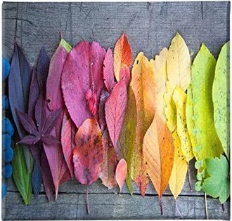 Homemania HM20KNV60x60-8 Farbbild, Natur, für Wohnzimmer, Schlafzimmer, Mehrfarbig, Polyester, Holz, 60 x 3 x 60 cm - HM20KNV60 x 60-8