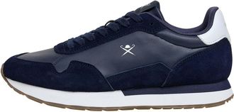Hackett Sneaker Vector