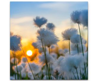 Paul Sinus Art Leinwandbilder | Bilder Leinwand 60x60cm Baumwolle bei Sonnenuntergang