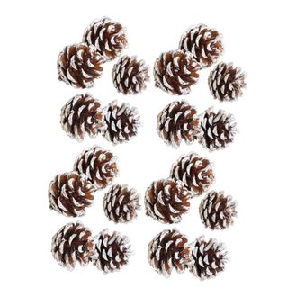 Cabilock 30st&uuml;cke Gefrostete Wei&szlig;e Kiefernzapfen Nat&uuml;rliche Getrocknete Echte Kiefernzapfen F&uuml;r Mikro-landschafts-Dekoration Und Fotografie Zubeh&ouml;r Pro Packung