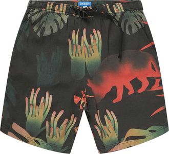 Market Shorts Vision Quest