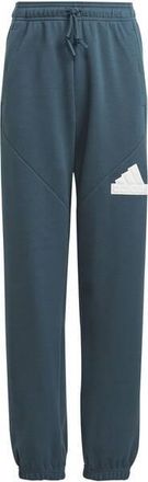 adidas Kinder Hose Future Icons Logo