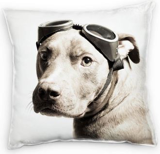 Paul Sinus Art Tiere, Hund, Pitbull mit Flugbrille, beige Deko Kissen 40x40cm für Couch Sofa Lounge Zierkissen - Dekoration zum Wohlfühlen