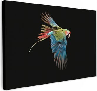 MuchoWow © Wandbilder 90x60 cm Schlafzimmer Home Deko Wohnung Bild Wohnzimmer Fotoleinwand Wand Bilder Leinwand Wall Decor Papagei - Farbenfroh - Flügel - Anmu