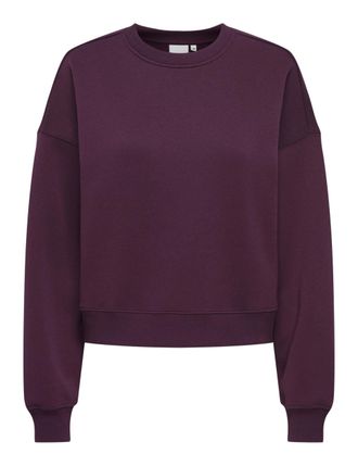 Only Onlbest L/S Crew Neck SWT Noos